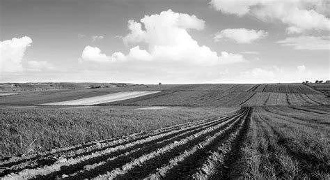 Comprometidos Con La Economía Circular Enarez