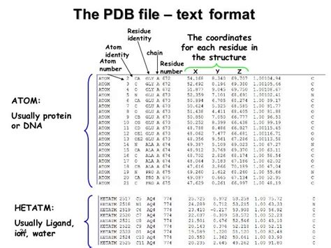 Protein Structure Databases And Structural Alignment