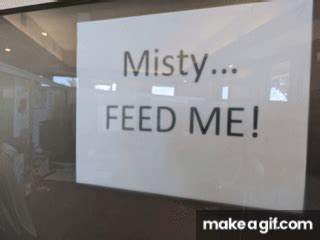 Misty Feed Me On Make A 