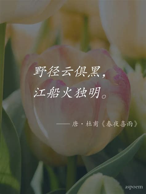 春夜喜雨 唐杜甫 拼音注解译文 白话文 现代化诗词学习网站