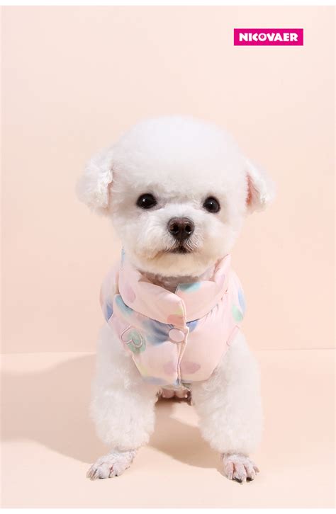 妮克威尔贵宾狗狗秋冬中小型犬无袖波点爱心刺绣羽绒棉服马甲 阿里巴巴