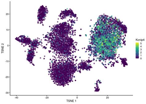 Chapter 11 Single Nuclei Rna Seq Processing Advanced Single Cell