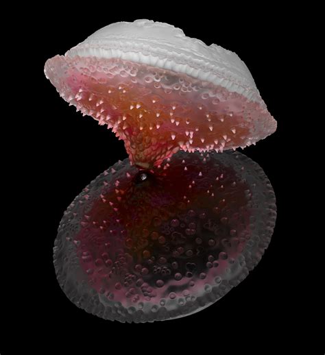 Bonhams K William Lequier American Born 1953 Genesis 1987