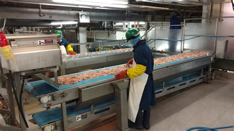 Sorting Systems Sanitary Material Handling Coastline Equipment Inc