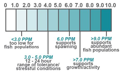 Aeration Basics Why Does The Dissolved Oxygen Content Of Wastewater Matter JMS