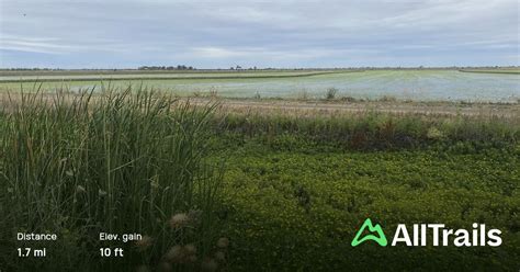 Yolo Bypass Nature Trail Closed California 98 Reviews Map Alltrails