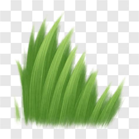 Download Versatile Green Grass Clip Art Png Online Creative Fabrica
