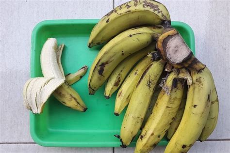 14 Jenis Pisang Di Indonesia Dari Pisang Raja Hingga Pisang Kapas
