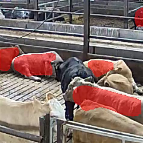 Illustration Of Mask R Cnn Fcis Fcn8smasksplitter Performance On Ms Download Scientific