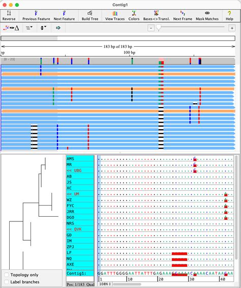 Multiple Sequence Alignment Using Codoncode Aligner