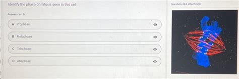 Solved Which Of The Following Is The Type Of Gladular