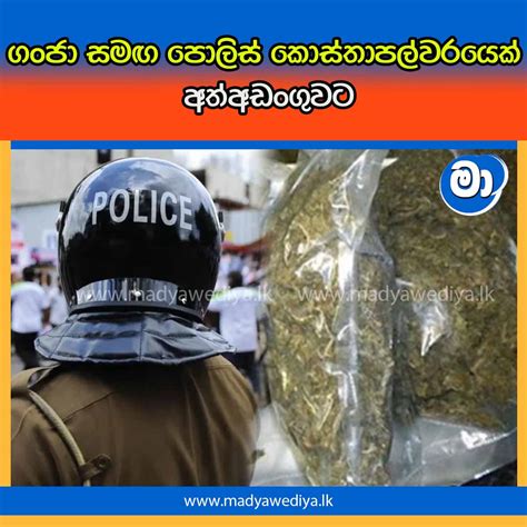 ගංජා සමඟ පොලිස් කොස්තාපල්වරයෙක් අත්අඩංගුවට මාධ්‍යවේදියා