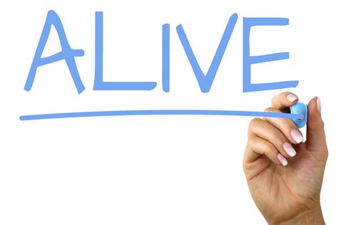 Alive Free Creative Commons Images From Picserver