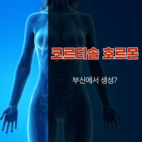 생리전증후군 부신 호르몬이 떨어졌어도 생겨 생리전증후군 관리방법 네이버 포스트
