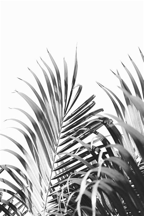 Pin by Giseli Rondão on quadros Beach wall collage Picture collage wall Botanical poster