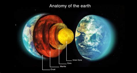 Parts Of The Earth Poster Large 14 X 24 Anatomy Of Th