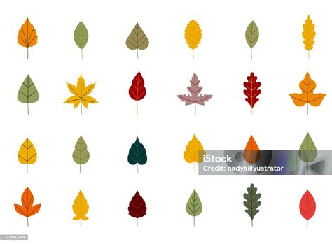 收藏美麗多彩的秋葉孤立在白色背景上簡單的卡通平面風格楓樹橡木白木的秋葉花卉設計項目向量圖形及更多九月圖片 九月 俄羅斯 十一月