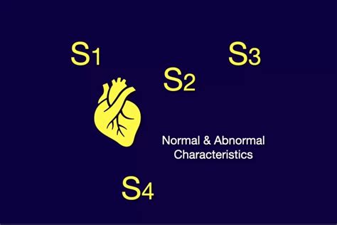All Types Of Heart Sounds S1 S2 S3 And S4 Normal And Abnormal