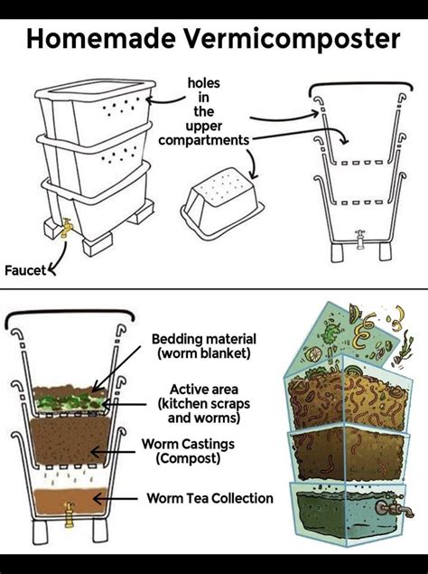 Vermicomposting 101 How To Make A Simple Worm Compost Bin Artofit