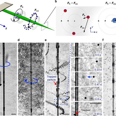 Interaction And Selective Trapping Of Microparticles In An Acoustically Download Scientific