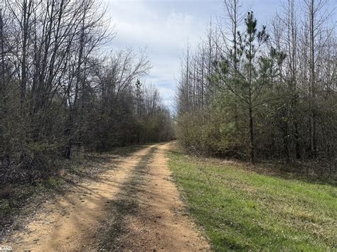 Big Sandy Recreational Tract A In Tuscaloosa County Alabama 14 Photos