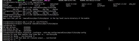 Nginx开启fileinfo扩展 Php钗 博客园 Nginx开启fileinfo扩展 Php钗 博客园