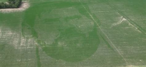 Formaron La Cara De Messi En Un Cultivo De Maíz