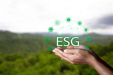 넷 제로 개념 Esg 아이콘이 있는 전구를 들고 있다 청정 에너지 아이콘으로 둘러싸여 있습니다 넷제로 2050 탄소 가스는 지구