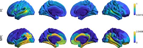 Tutorial 2 Customizing And Aligning Gradients — Brainspace 014 Documentation