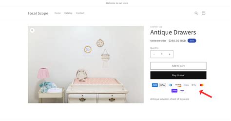 How To Add Payment Icons Under The ‘add To Cart Button In Shopify Without Any Apps By Fadi