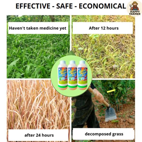Grass Zero Herbicide 500ml Weed Eliminator General Clearing Weed