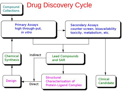 Drug Design And Discovery Hubpages