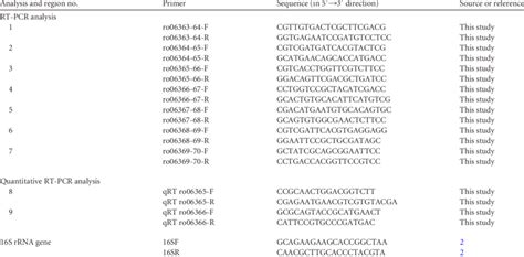 Primer Sets Used For Rt Pcr And Quantitative Rt Pcr Download Table