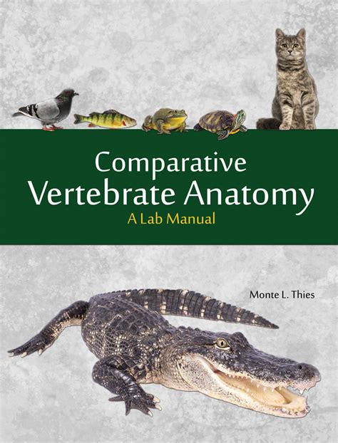 Comparative Vertebrate Anatomy A Lab Manual Higher Education