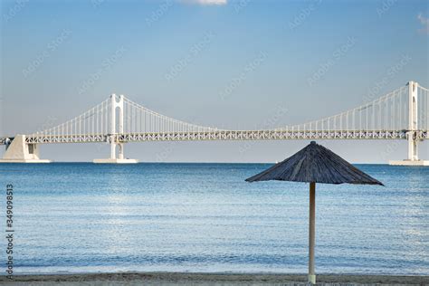 맑은 날씨의 부산 광안리 해수욕장 풍경 Stock Foto Adobe Stock