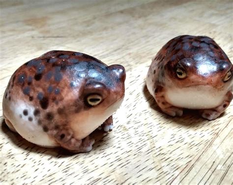 Squishy Desert Rain Frog Cute Butt Frog Fidget Weirdcore Desk Toy For