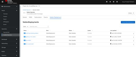 Model Deployment — Ai Supported Continuous Integration