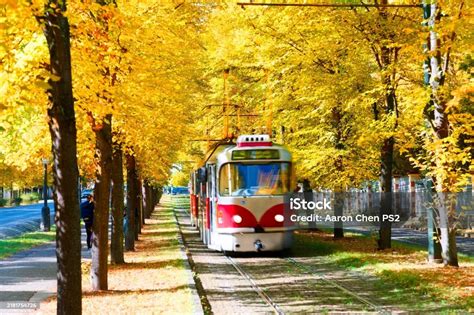 화창한 가을날 밝은 노란색 단풍 아래 트램 웨이 트랙을 달리는 복고풍의 향수를 불러 일으키는 전차가있는 나무 터널의 투시도 프라하 도시 체코 유럽 0명에 대한 스톡 사진 및