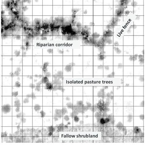 Map Of Predicted Versus Observed Tree Canopy Cover And Tree Height For Download Scientific