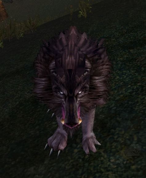 Worg Npc Mists Of Pandaria Classic