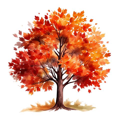 가을 가을 나무 수채화 클립 아트 Ai 생성 나무 떨어지다 가을 Png 일러스트 및 이미지 에 대한 무료 다운로드 Pngtree