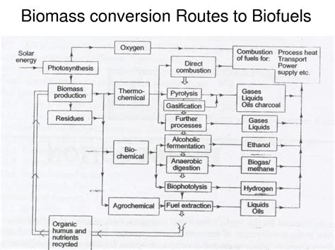 Solution Biomass Conversion Routes To Biofuels Studypool
