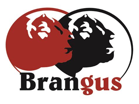 Leilão Brangus Lance Rural