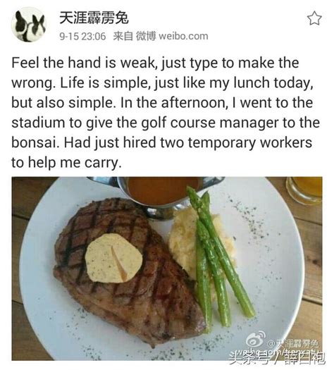 中秋節馬蓉小號連發微博：我也是被利用的 每日頭條