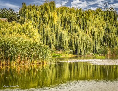 THE BEST Things to Do in Riscani District (2024)