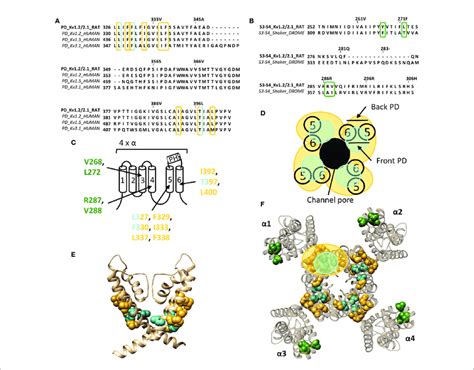 Lipid Exposed Binding Sites Within The Crystal Structure Of A K V
