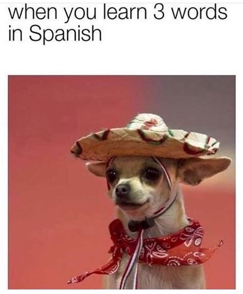I Can Speak Spanish Now 😏 Rmemes