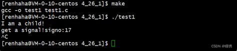 【hello Linux】可重入函数、volatile和sigchld信号定义 Sigchld Csdn博客
