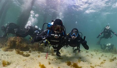 水肺潜水 vs 自由潜水我该选择哪一个 Ocean Divers