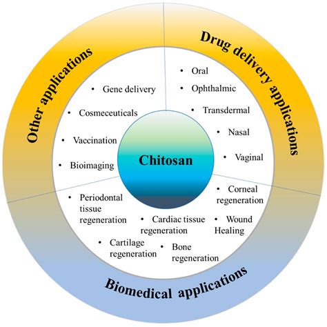 Chitosan A Potential Biopolymer In Drug Delivery And Biomedical